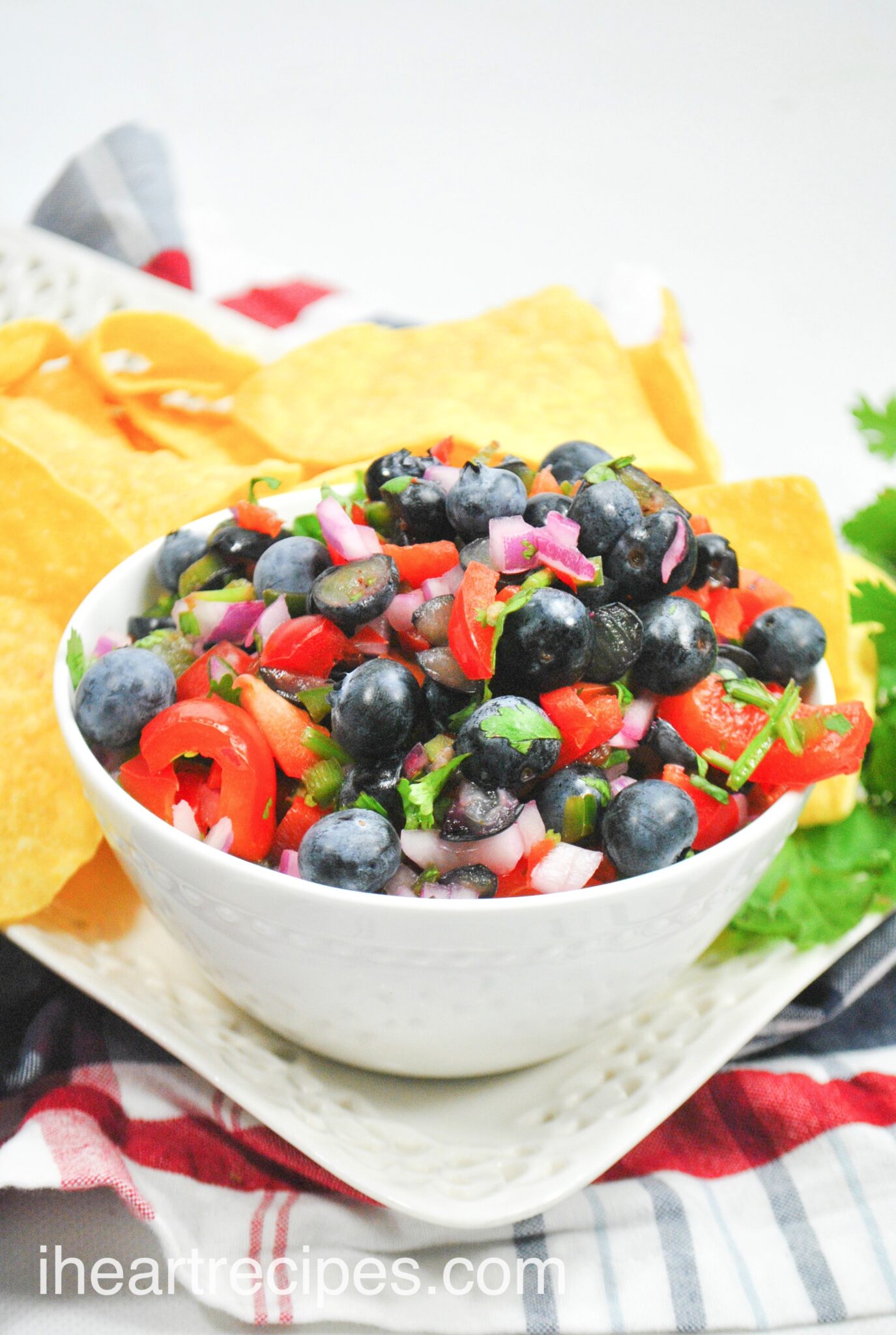 Fresh Blueberry Salsa Recipe - I Heart Recipes